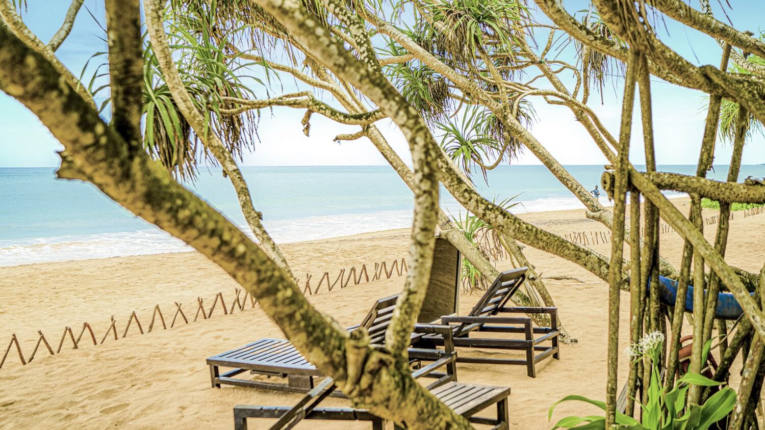 THE TEMPLE TREE RESORT & SPA hotel viešbutis (Šri Lanka Poilsis Šri ...