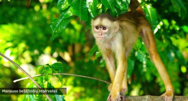 Brazilijos Šiaurė – gamtos mylėtojų rojus | Pažintinė-egzotinė kelionė ...