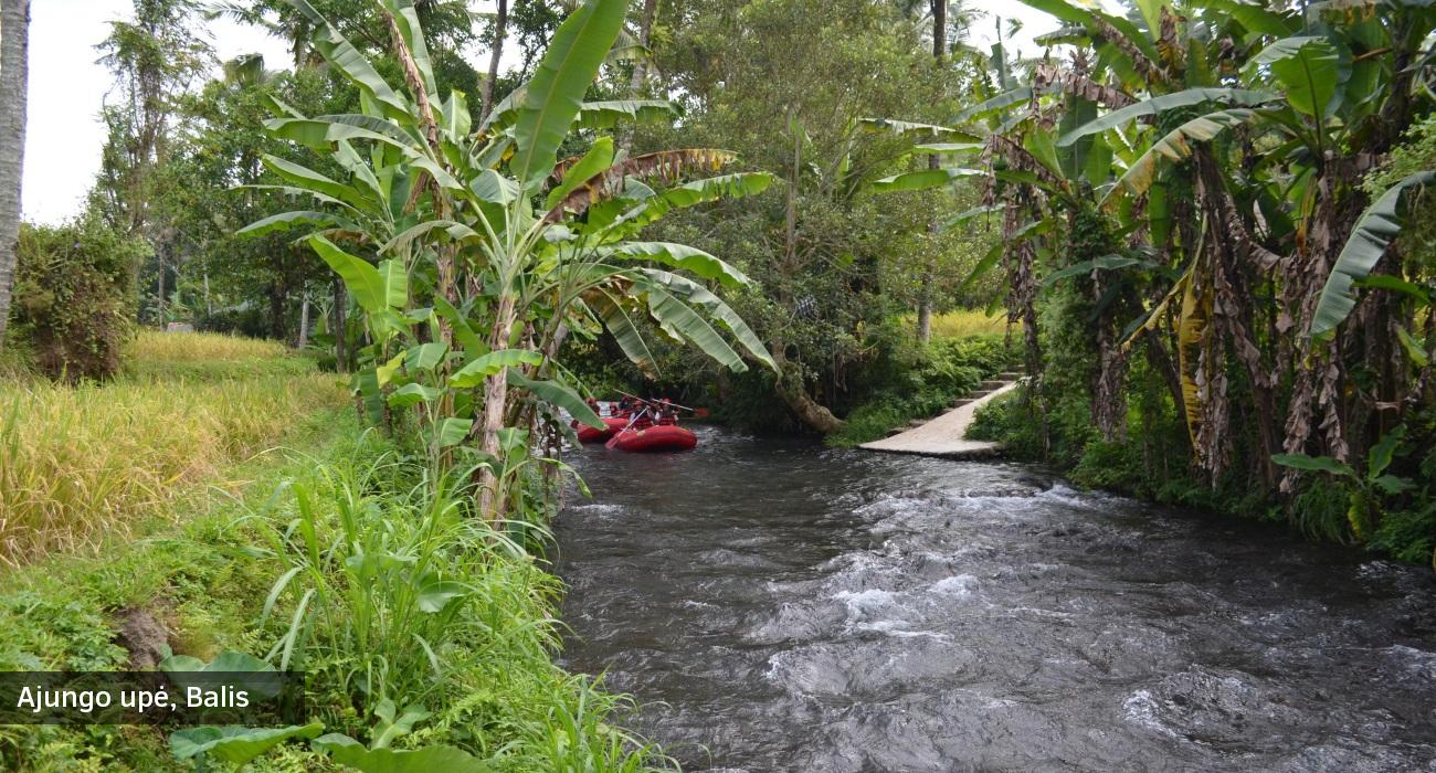 3 naktys Singapūre ir Balio sala | Egzotinė-pažintinė kelionė lėktuvu į ...