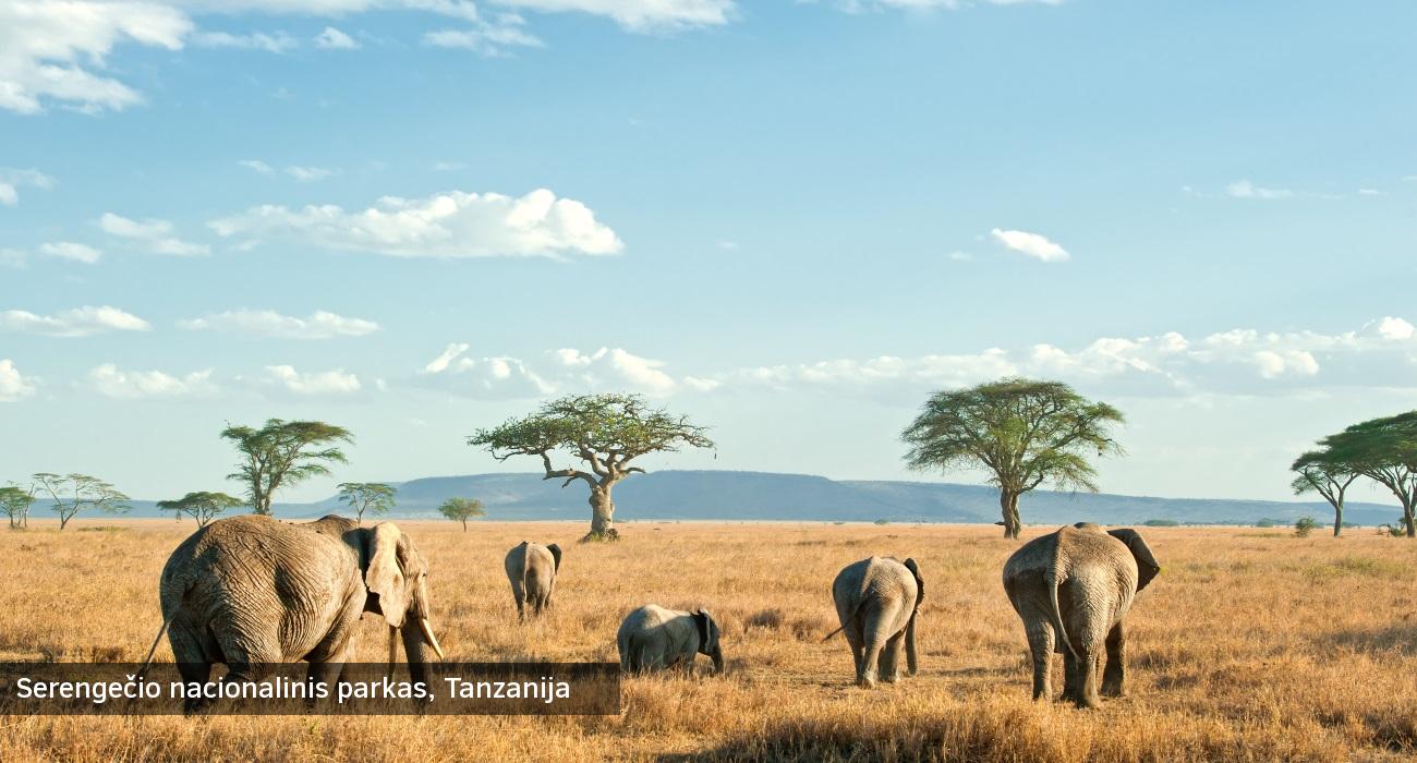 Kenija ir Tanzanija: laukinės gamtos pažinimo kelionė | Pažintinė ...